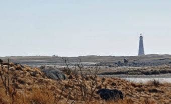 Sable Island | The Canadian Encyclopedia