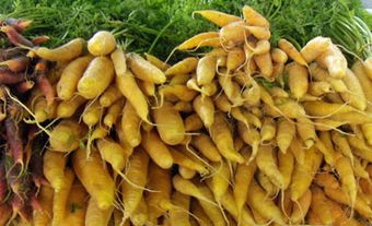 Vegetable | The Canadian Encyclopedia